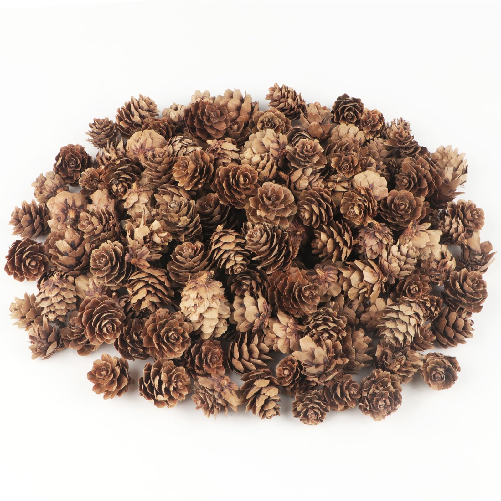 Amazon.com: TaoQ C 120 PCS Pine Cones Decorations, Natural Pine Cones ...