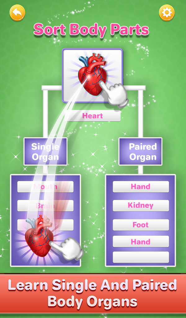 Human Body Parts Kids Learning - App on Amazon Appstore