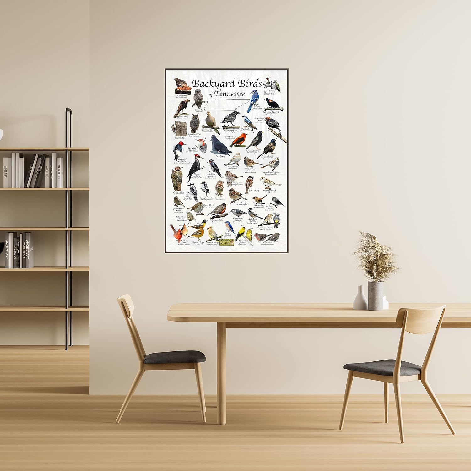 Where’s Wildlife Póster de identificación de aves de Tennessee para el ...