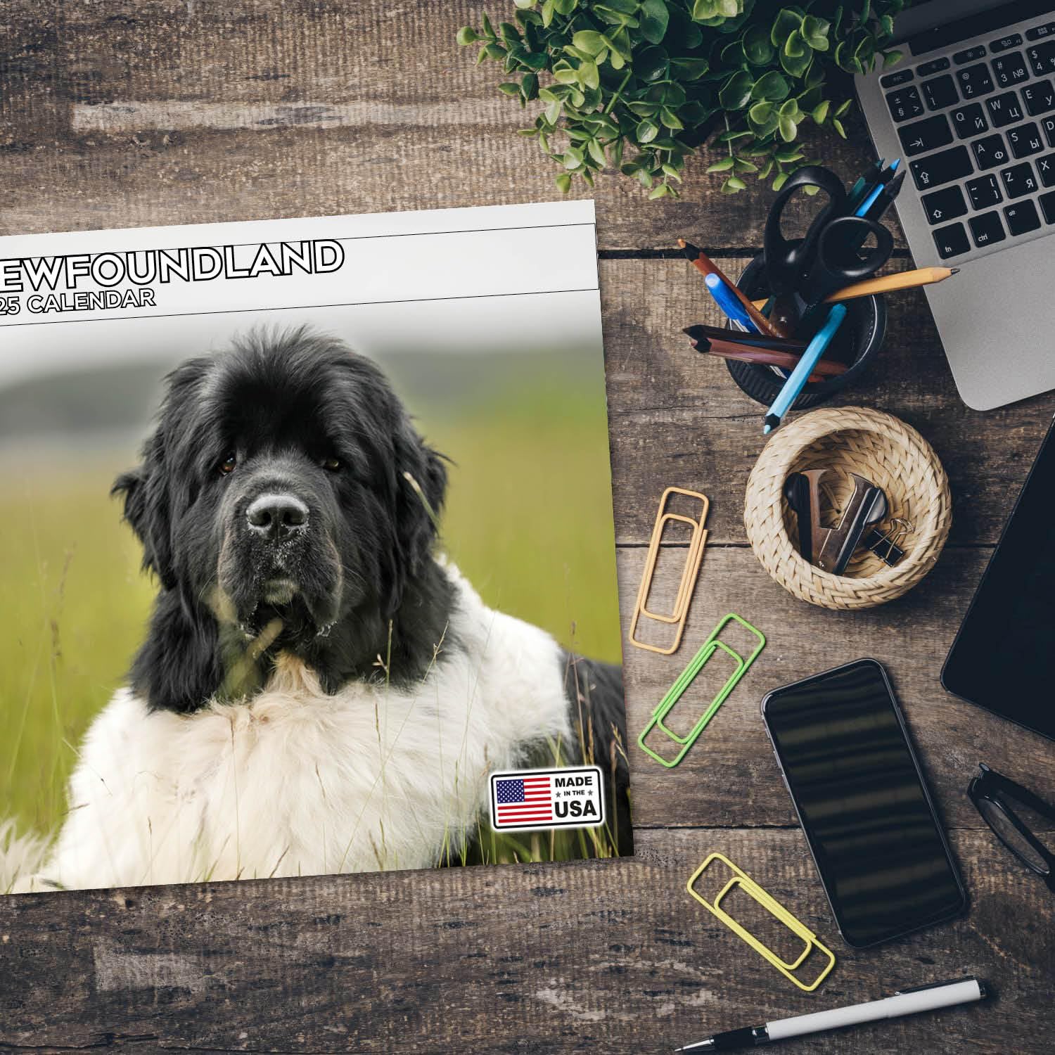 Snapklik.com : 2025 Newfoundland Calendar - Dog Breed Wall Calendar ...
