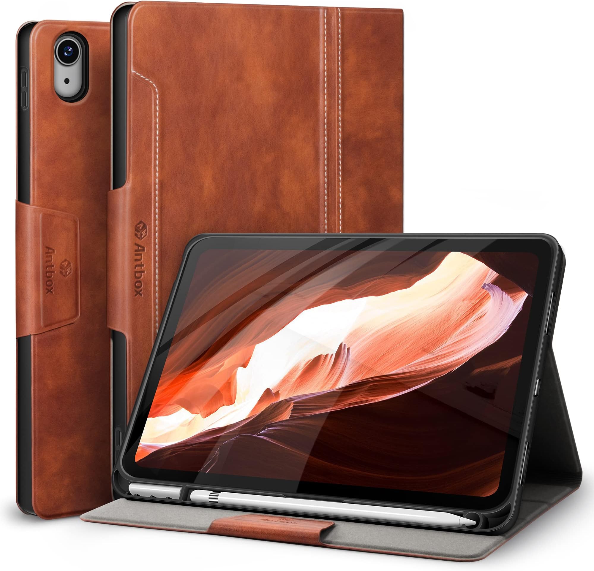 Amazon.com: Zinibri Handcrafted Case for iPad (A16) 11th Generation 11 ...