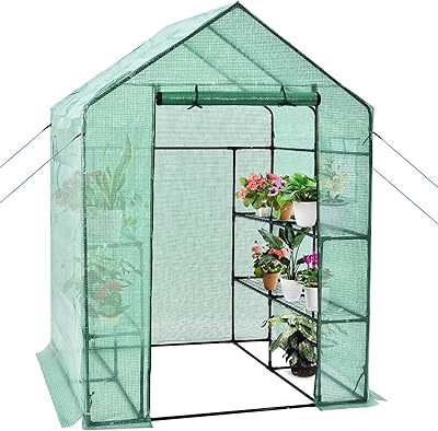 Amazon.com : LEMY Mini Walk-in Greenhouse 2-Tier 8-Shelf Indoor Outdoor ...