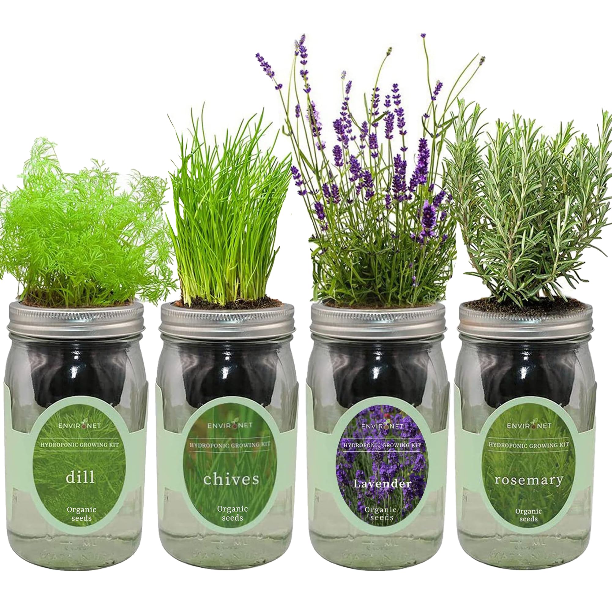 Amazon.com : Environet Hydroponic Herb Growing Kit Set, Self-Watering ...