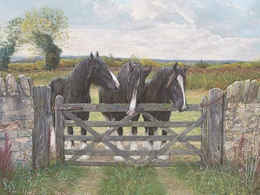 'Three over Five' Greetings Card, Blank Inside. Rural Scene. Horses ...