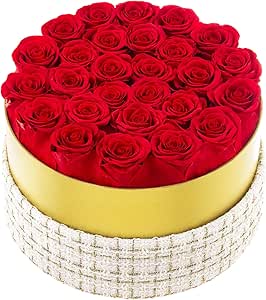 Amazon.com: Mosstory Forever Flowers 27 Preserved Roses in a Box Long ...