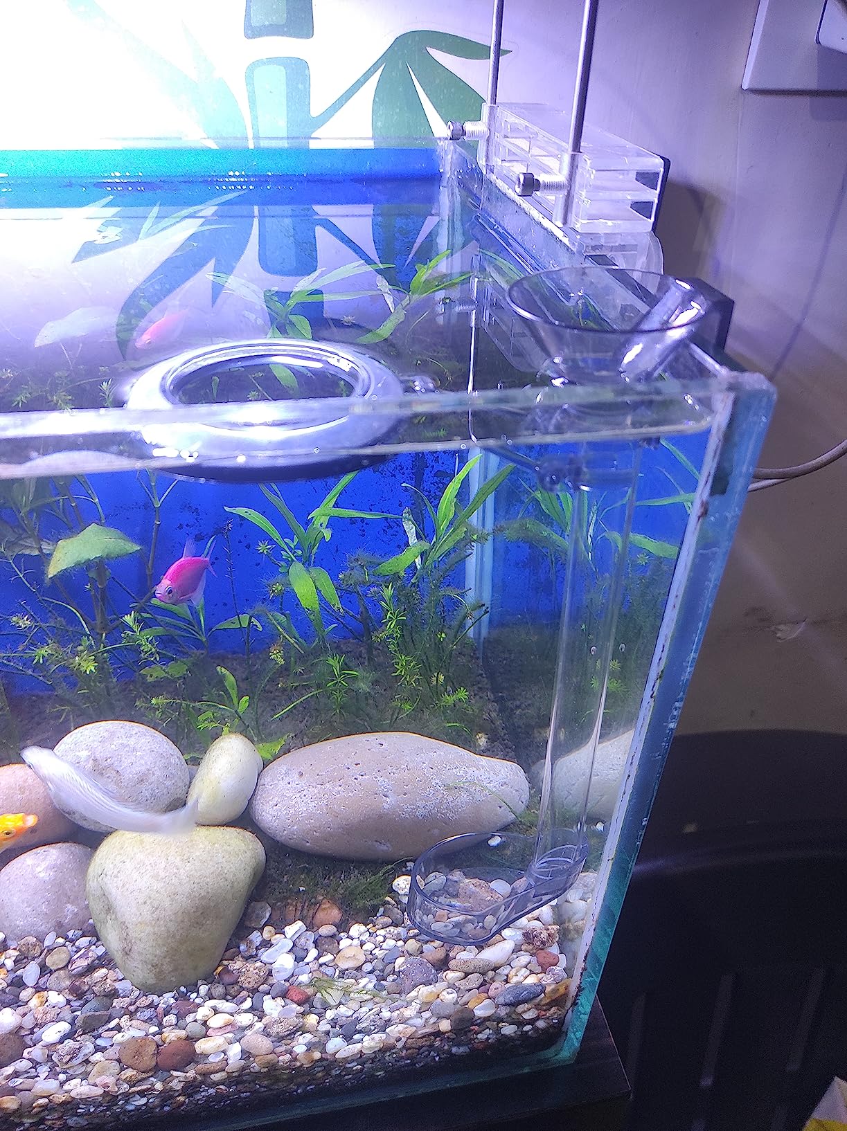 PawLites Polyester Fish Tank Feeder Aquarium Feed Tube, 15Cm X 37.5Cm ...