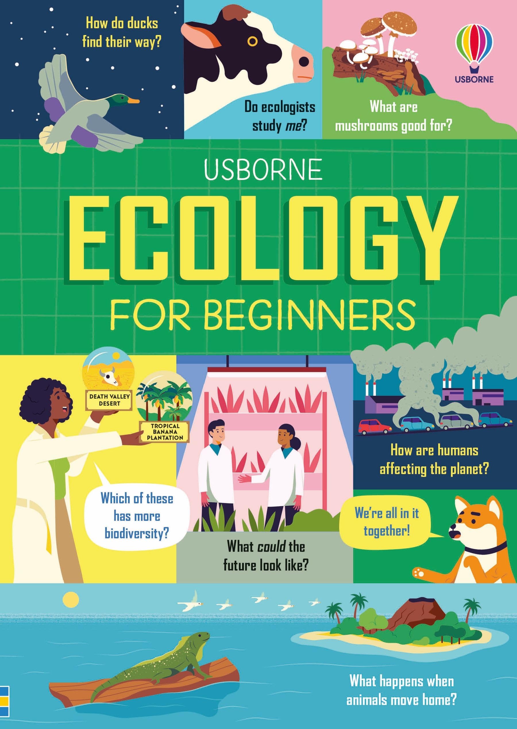 Ecology for Beginners: Prentice, Andy, Cook, Lan, Hallmann, Anton ...