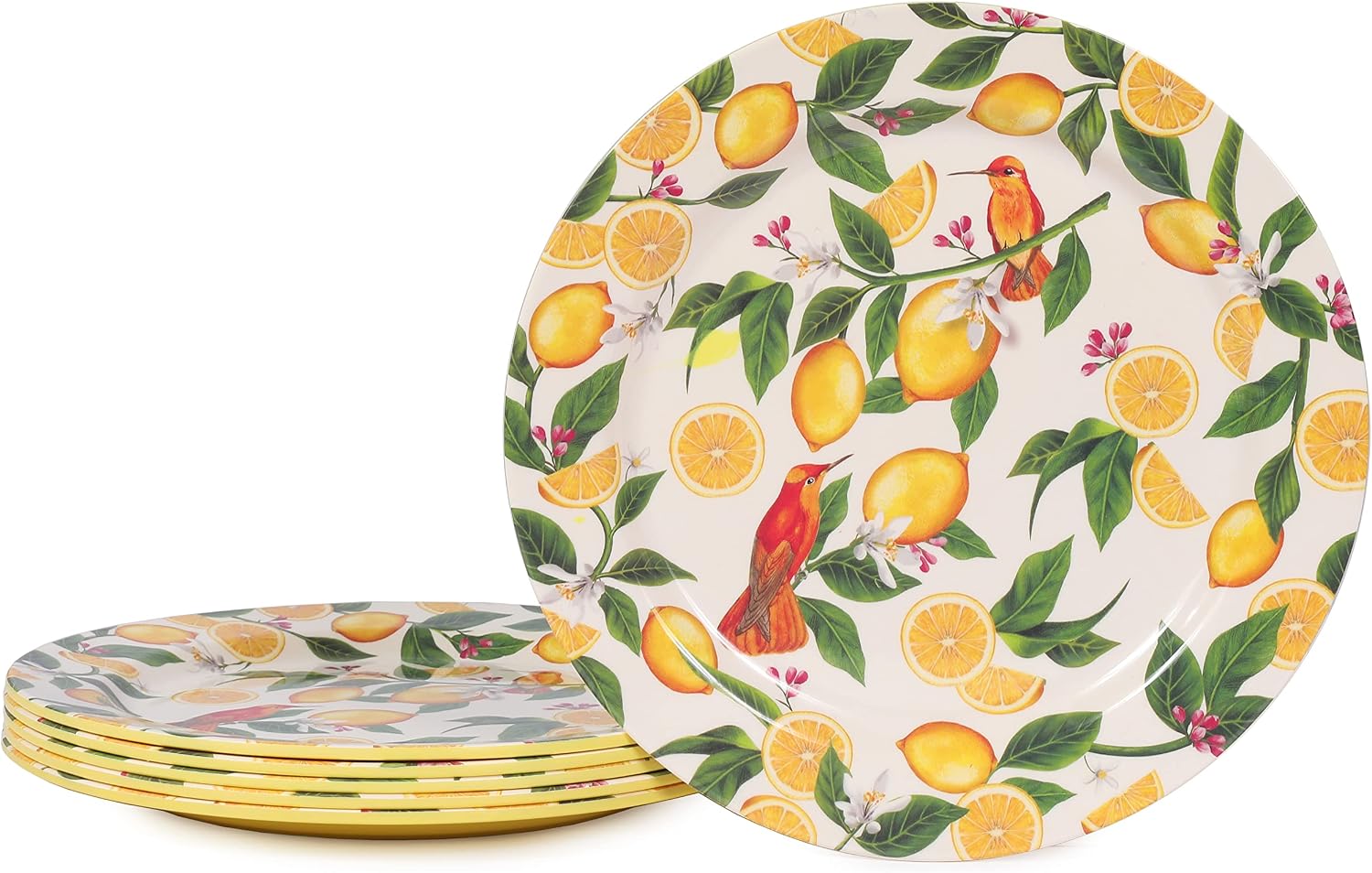 Aidio 6 Piece Lemon Plates Set-Melamine Plates Set for Summer Use ...