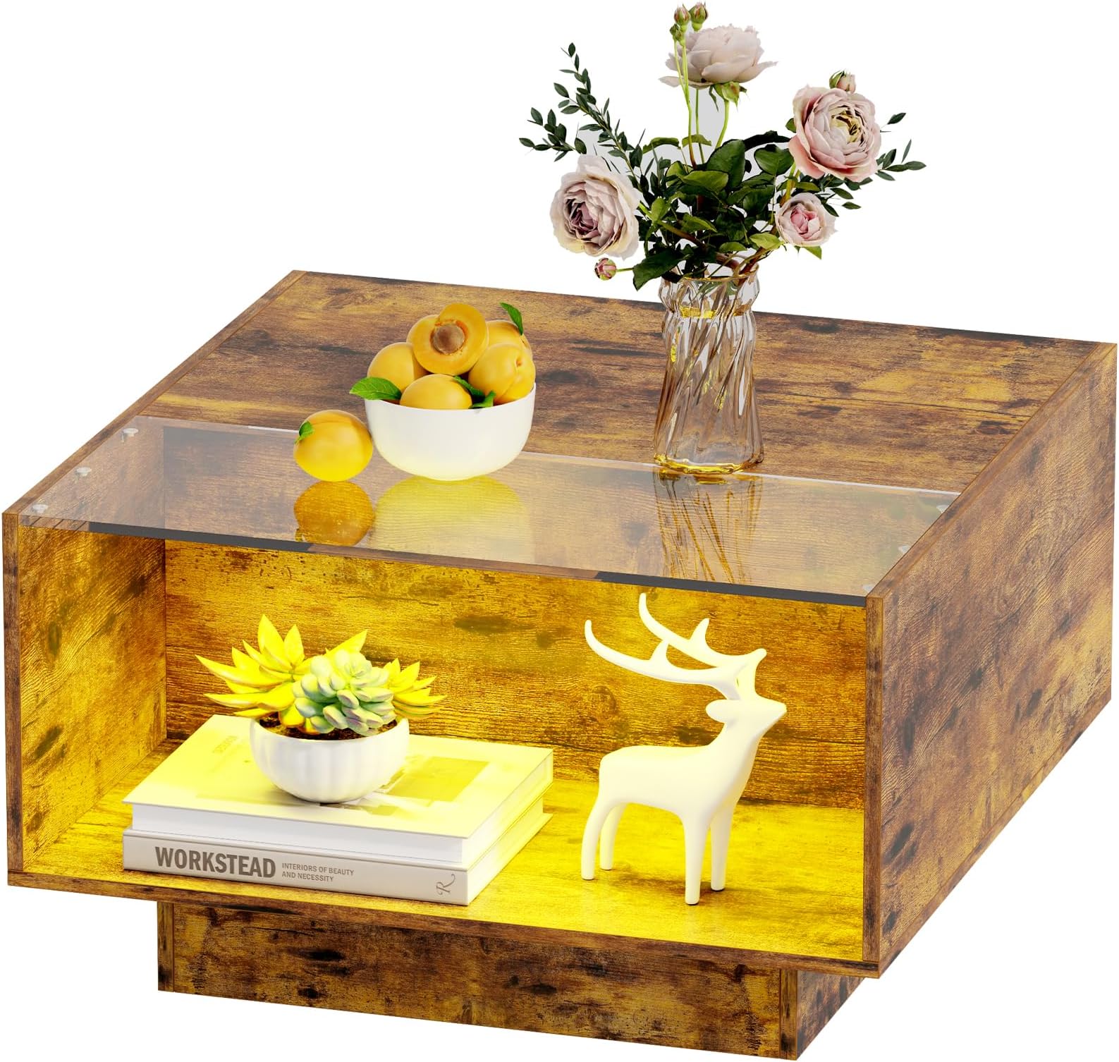 Amazon.com: D'Eco Round Terrarium Display End Table w Reinforced Glass ...