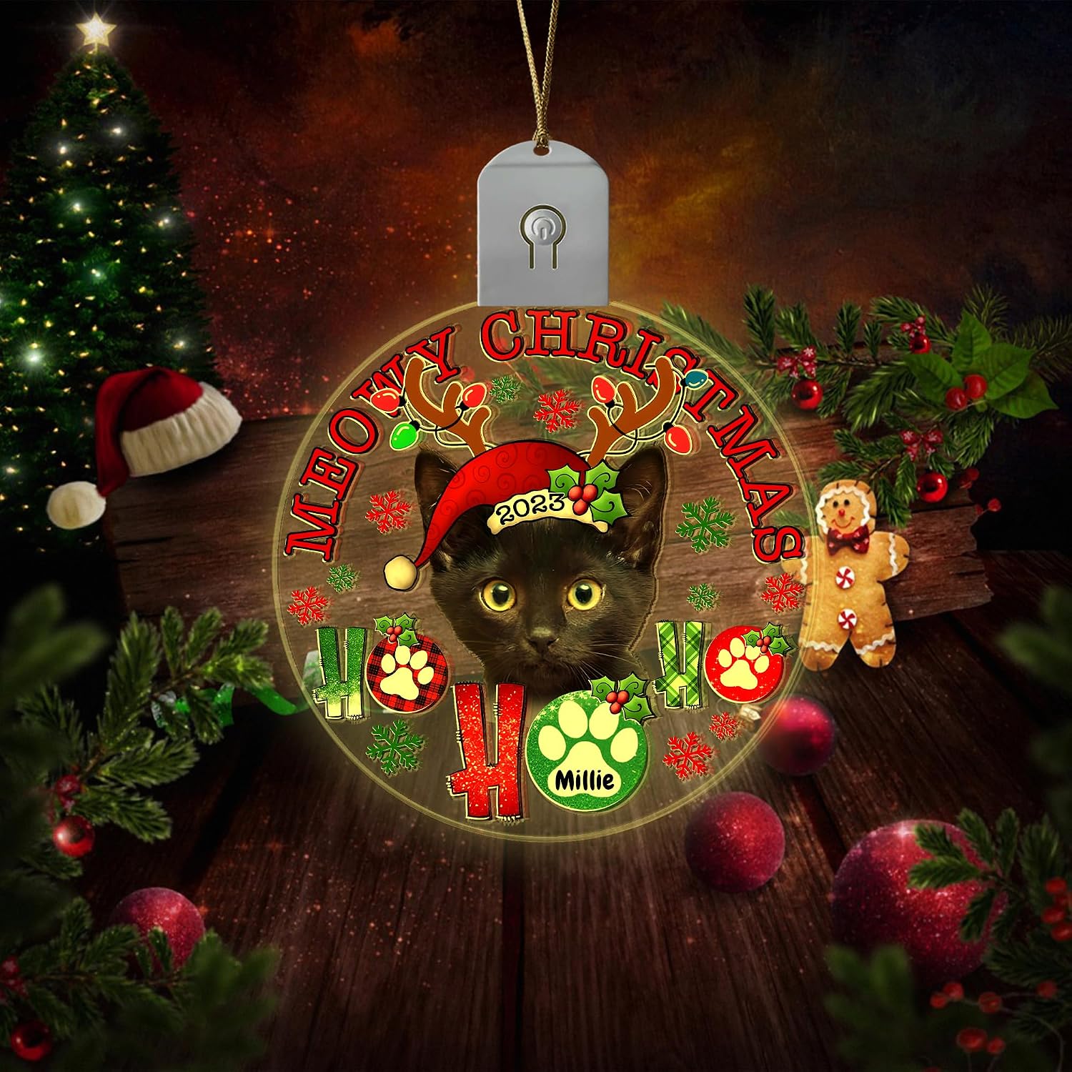 Amazon.com: Personalized Black Cat Led Circle Acrylic Ornament - Funny ...