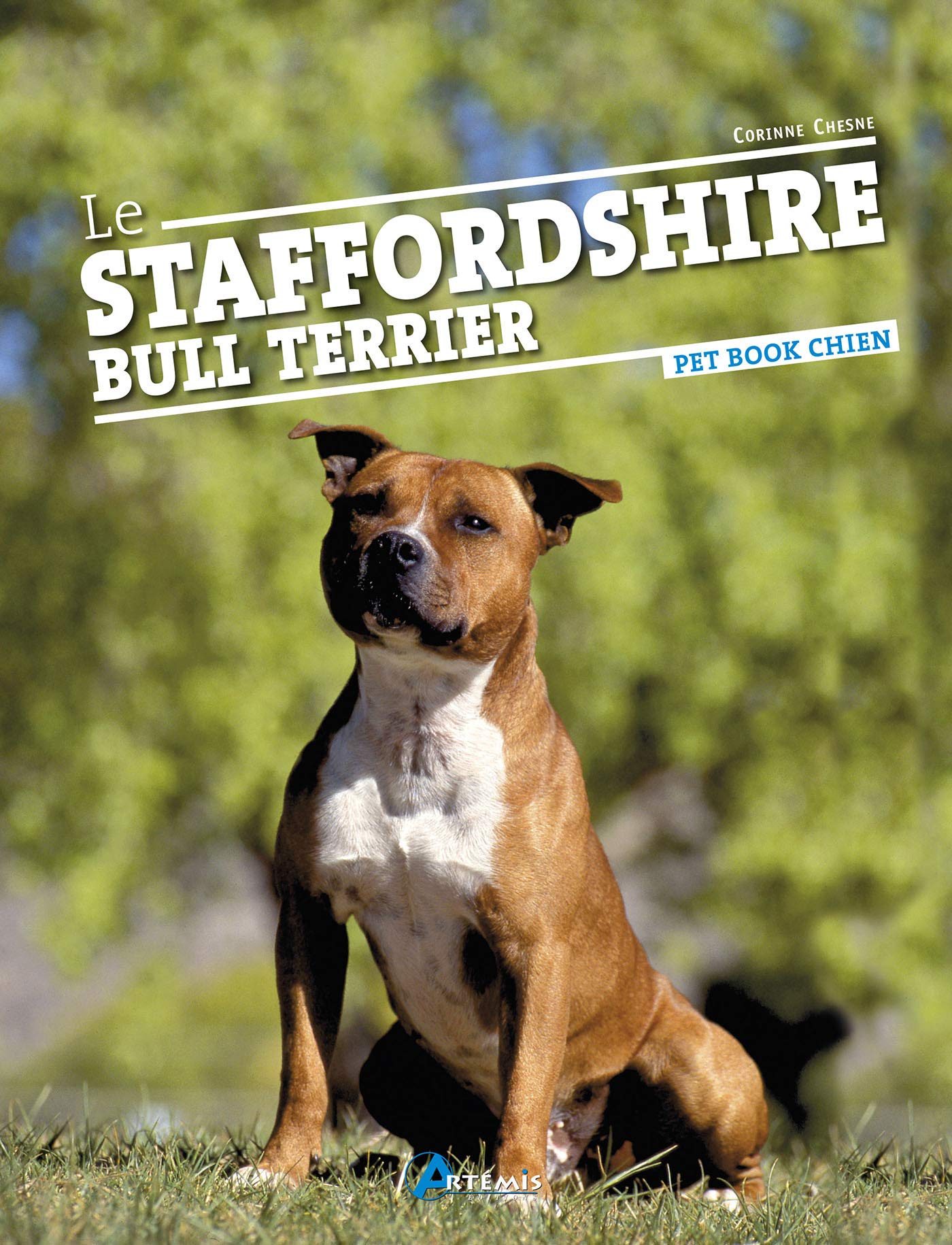 L'histoire Du Staffordshire Bull Terrier