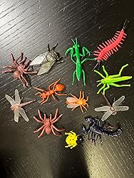 Amazon.com: U. S. Toy Toy 2378 Mini Insects, 1-Pack of 12 : Toys & Games