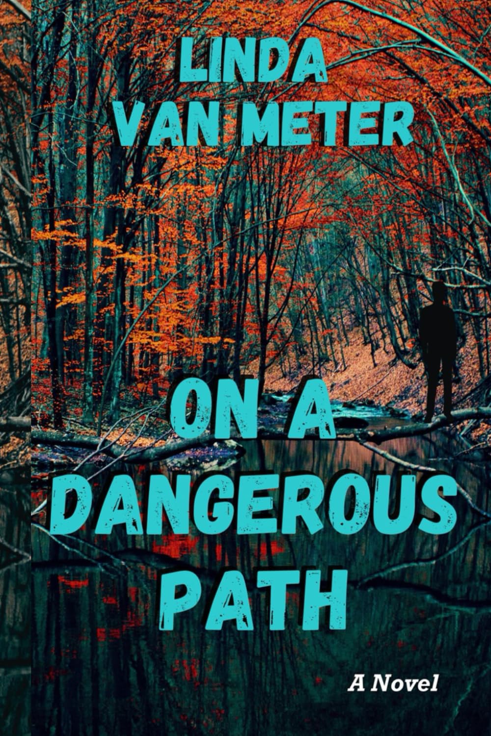 Amazon.com: On A Dangerous Path: 9798882839429: Van Meter, Linda D.: Books