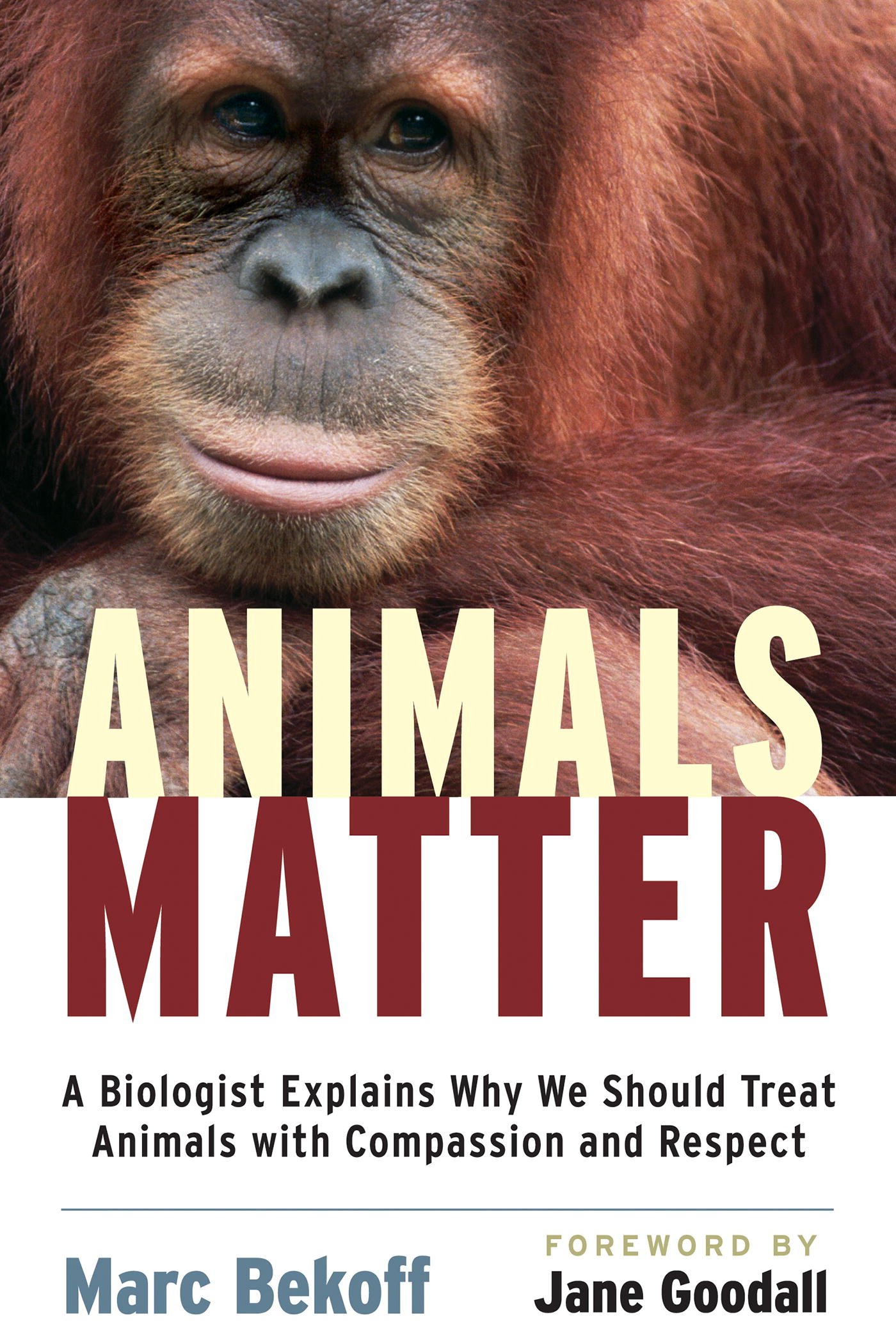 Buy Animals Matter: A Biologist Explains Why We Should Treat Animals ...