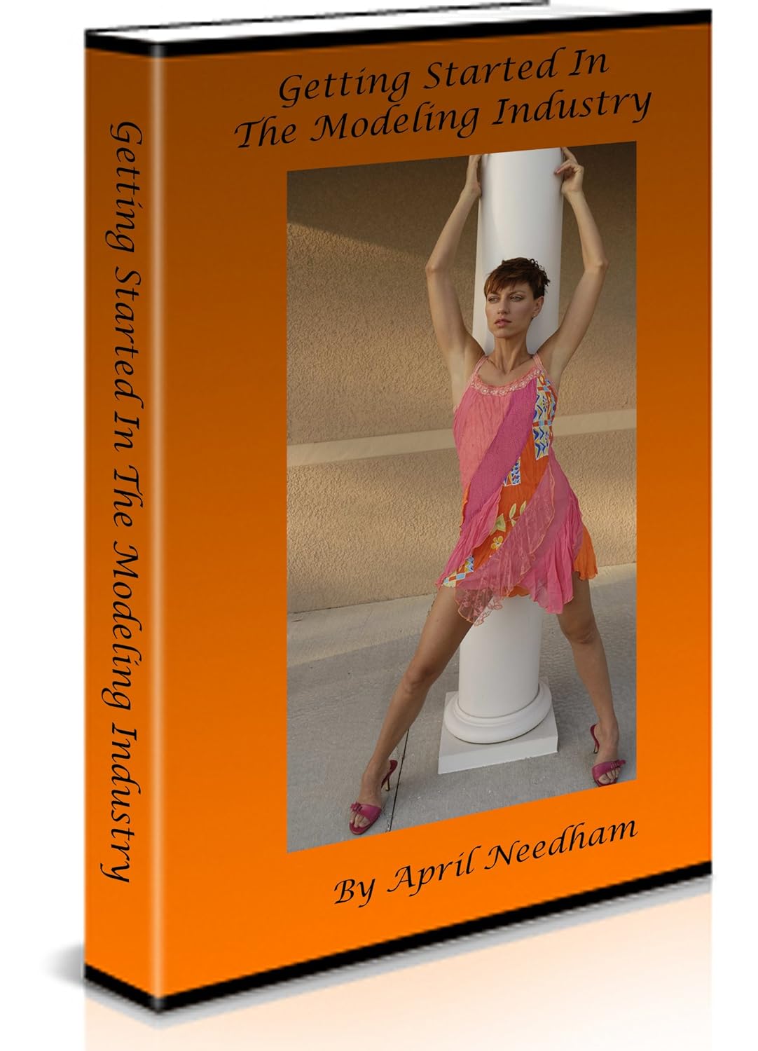 Amazon.com: Getting Started in the Modeling Industry eBook : Needham ...