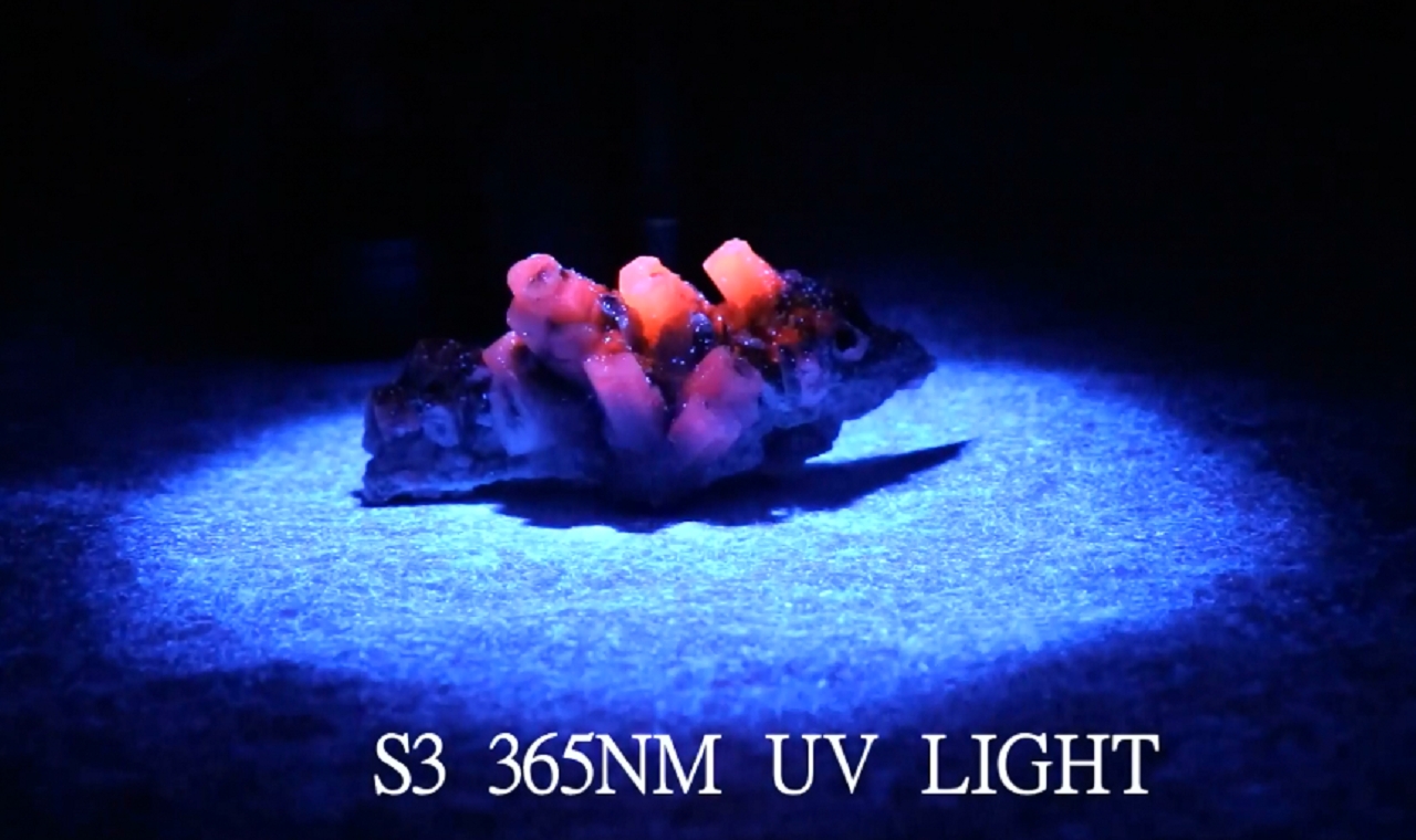 Watch Professional Black Light UV Flashlight LUMENSHOOTER S3 365nm on ...