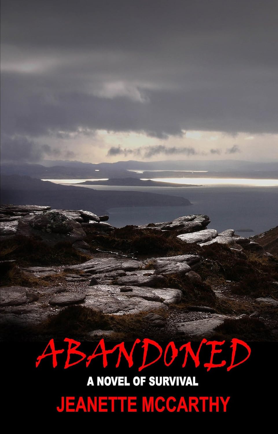 Abandoned eBook : mccarthy, jeanette: Amazon.in: Books