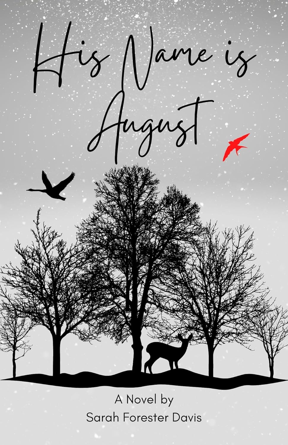 Amazon.com: His Name is August (Hazel and August Book 2) eBook ...