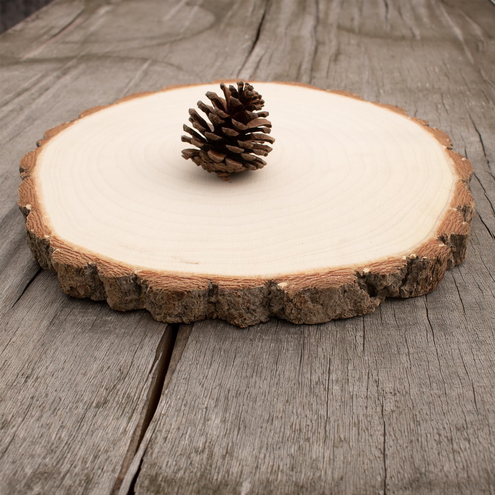 Amazon.com: Large Unfinished Wood Slices for Centerpieces 1 pcs 13-14 ...
