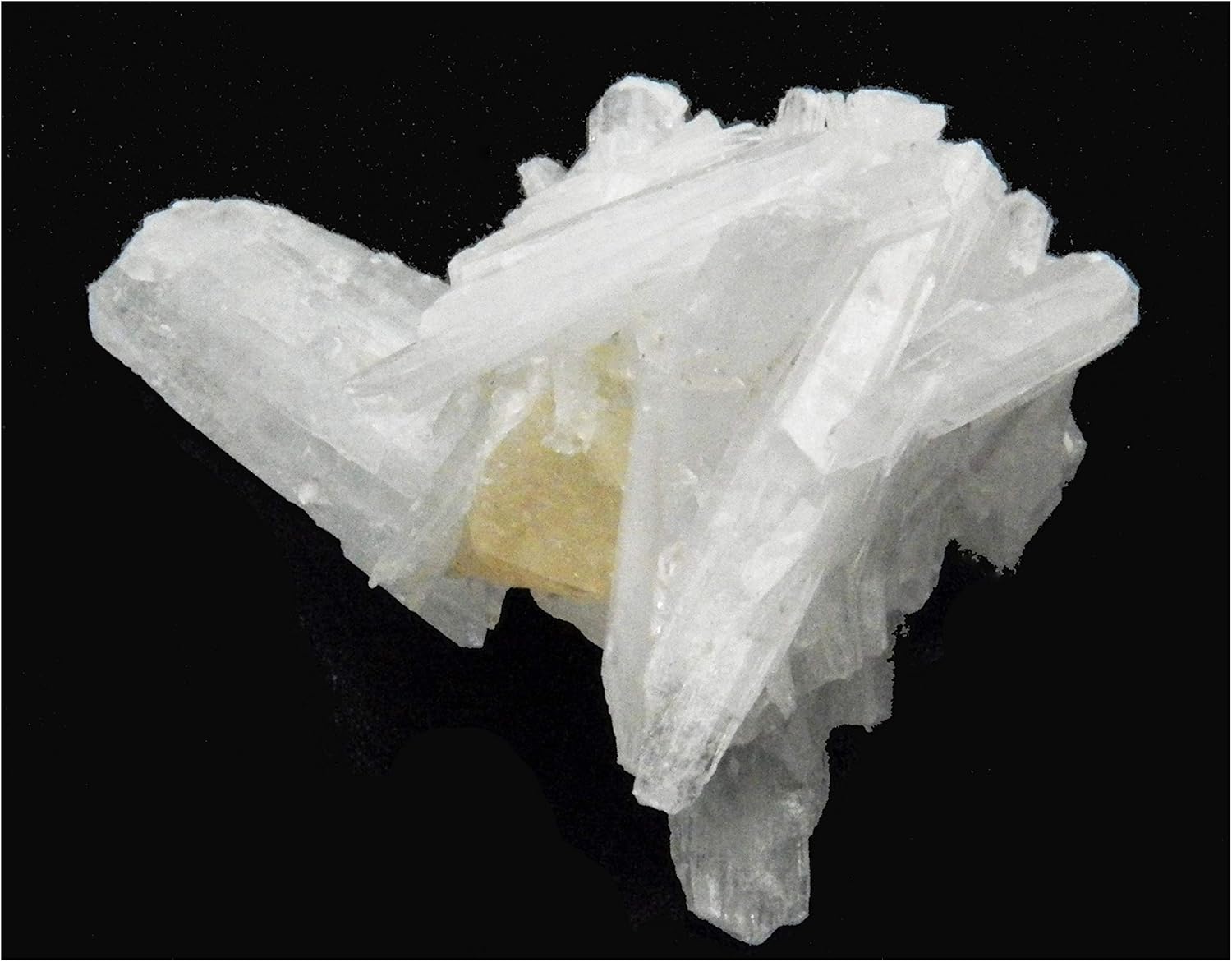 Amazon.com: Fundamental Rockhound Products: Rare White Celestite with ...