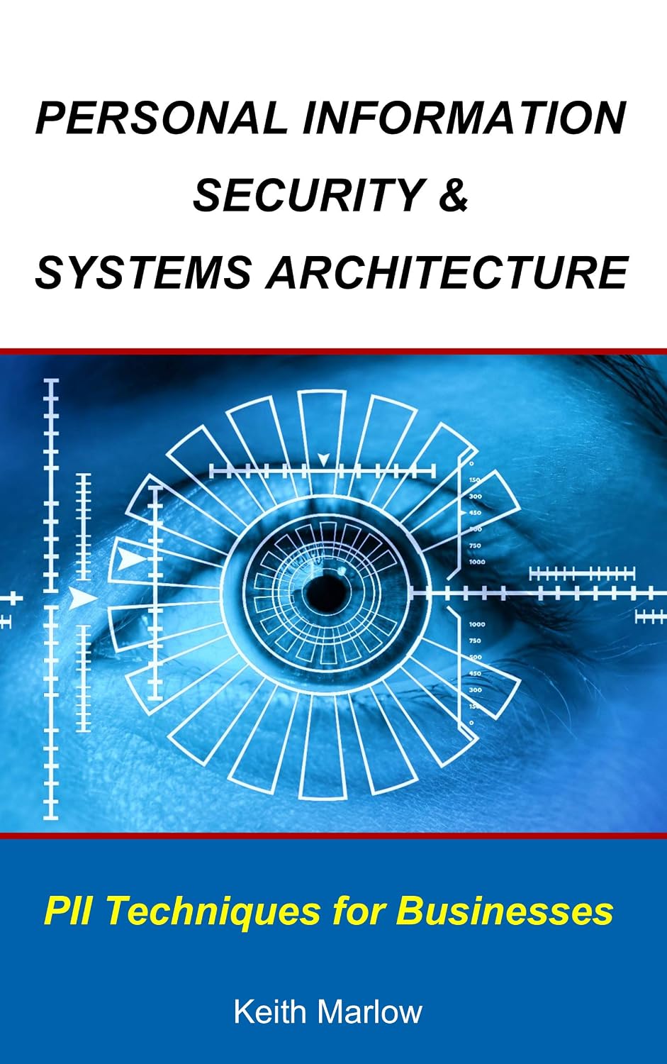Amazon.com: Personal Information Security & Systems Architecture ...