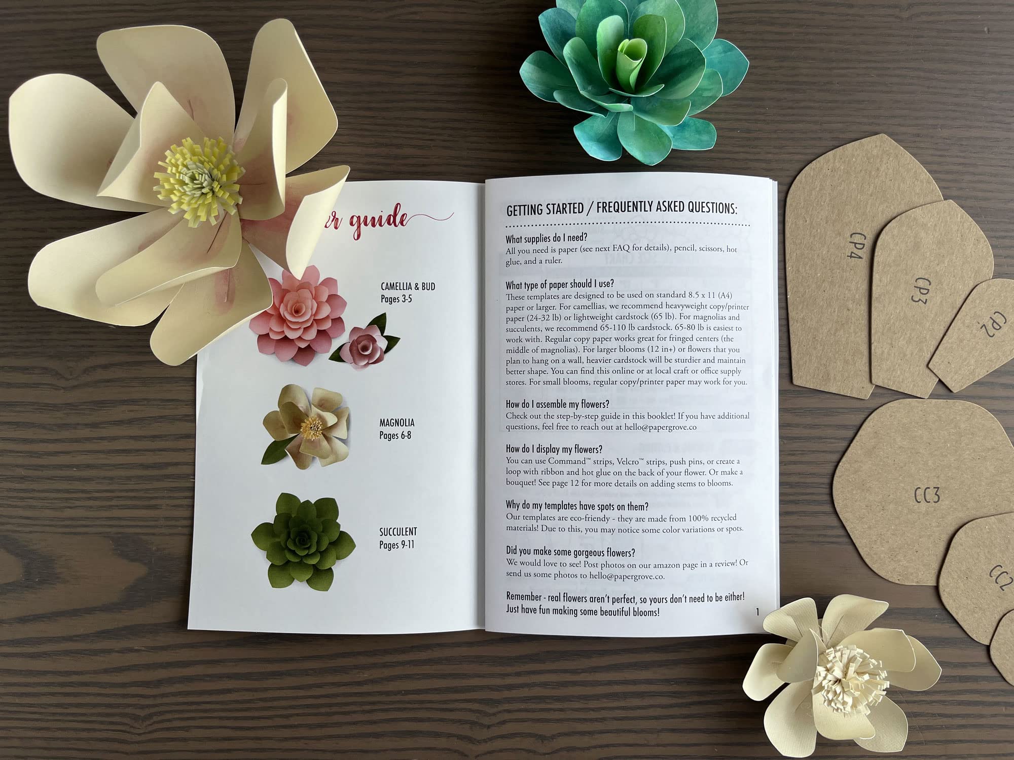 Snapklik.com : Paper Camellia + Magnolia + Succulent Template DIY Kit