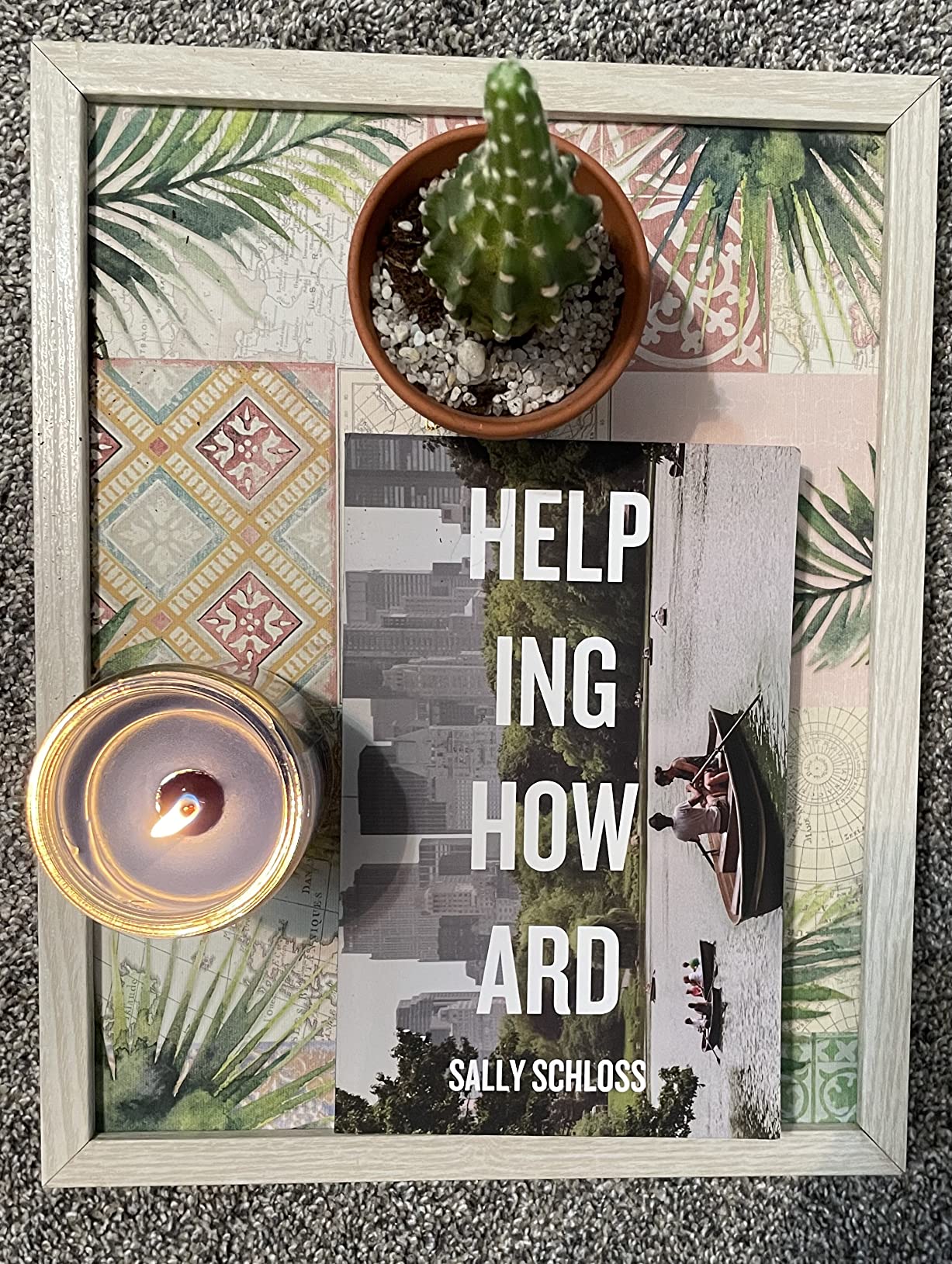 Amazon.com: Helping Howard: 9781637527832: Schloss, Sally: Books