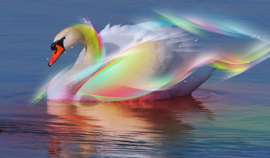 AWSOME MOBILE HD WALLPAPERS: app su Amazon Appstore