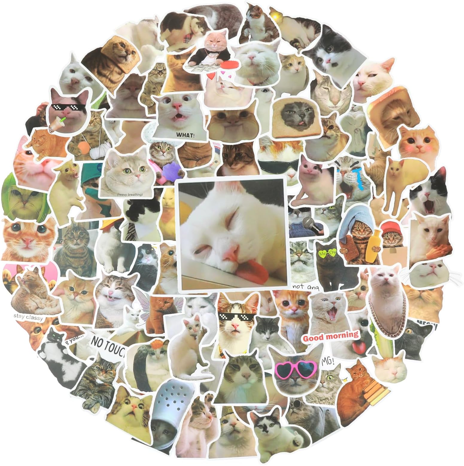 100 Adesivi Gatti Meme, Sticker Gatti Meme, Gadget Gatto Divertente ...