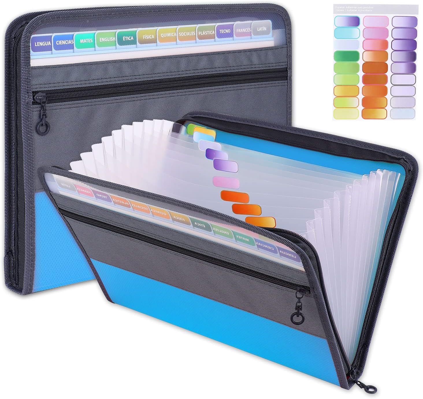 Amazon.com : MEGREZ Expanding File Folder with 13 Pockets, A4 Paper ...