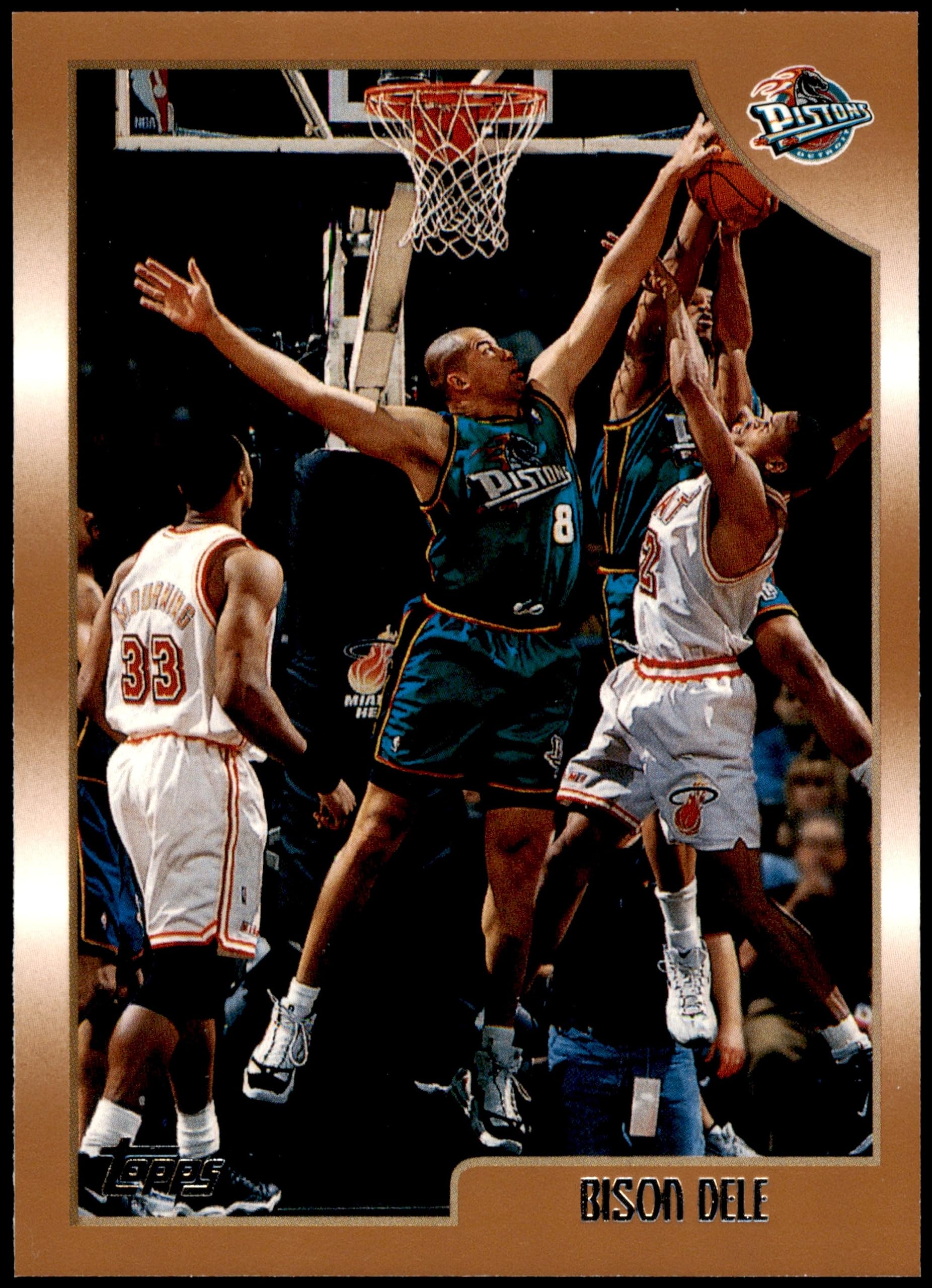 Bison Dele Basketball Player