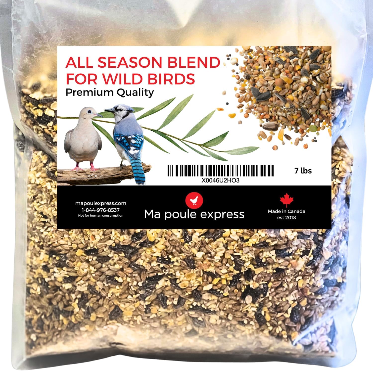 Ma Poule Express All Season Wild Bird Food Blend - Premium Canadian ...