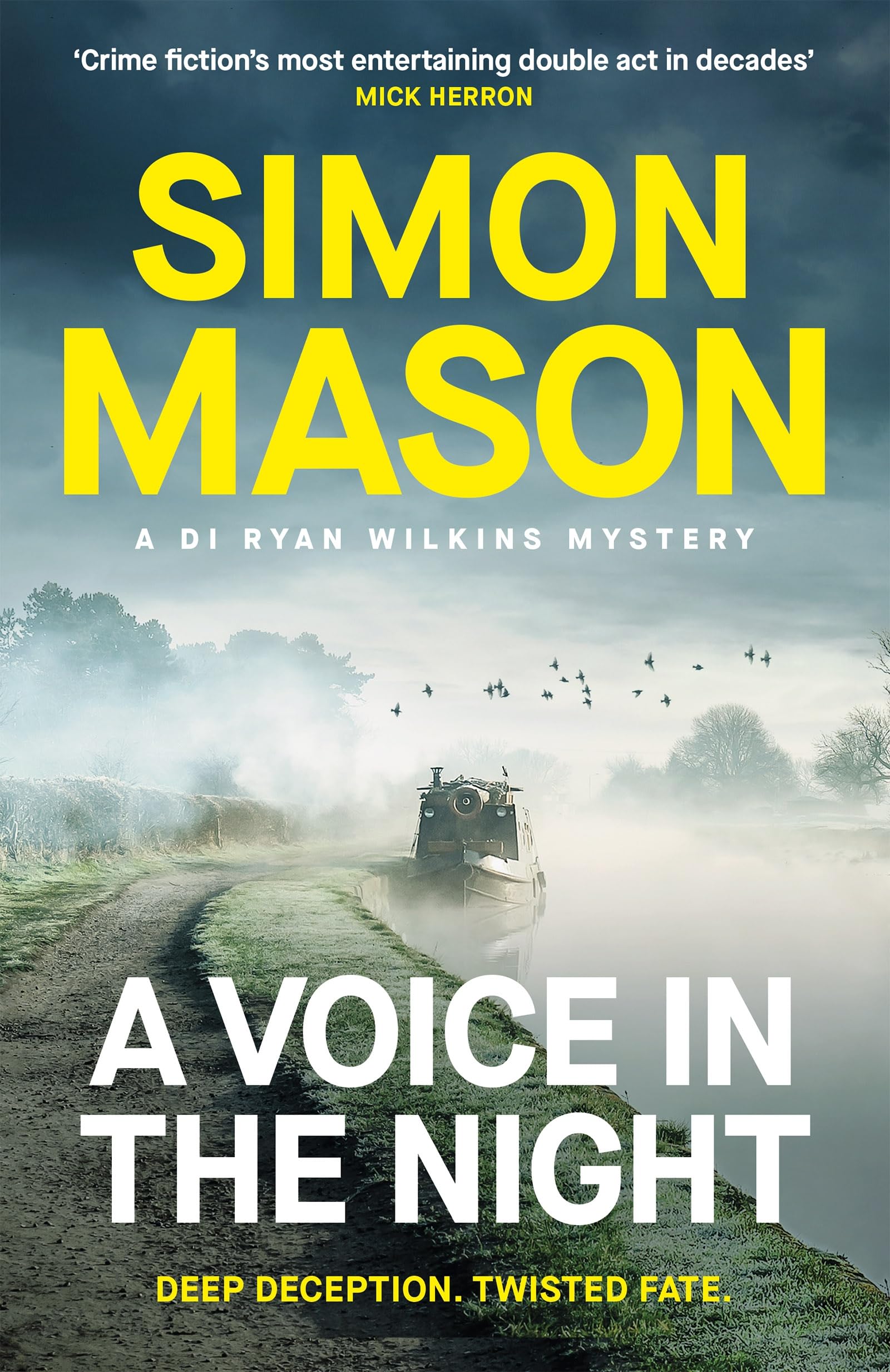 A Voice in the Night: Mason, Simon: 9781529425901: Amazon.com: Books