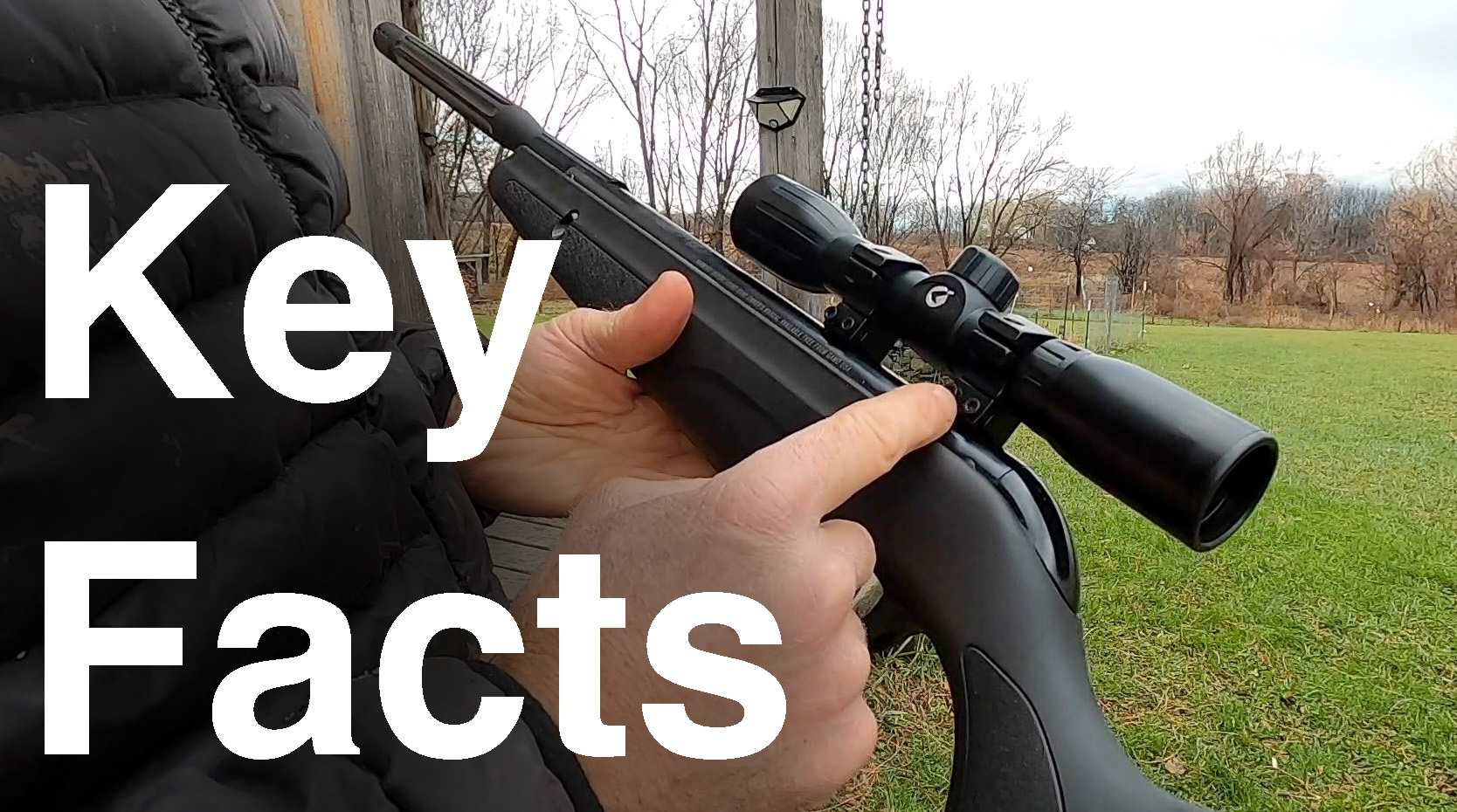 Watch KEY FACTS Gamo Wildcat Whisper Air Rifle on Amazon Live