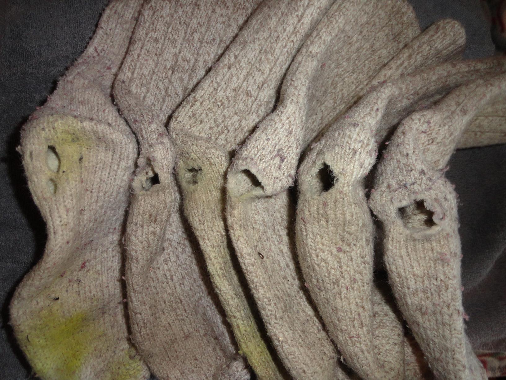 Amazon.com: Wigwam Men's El-Pine Ragg Wool Heavyweight Crew Socks ...