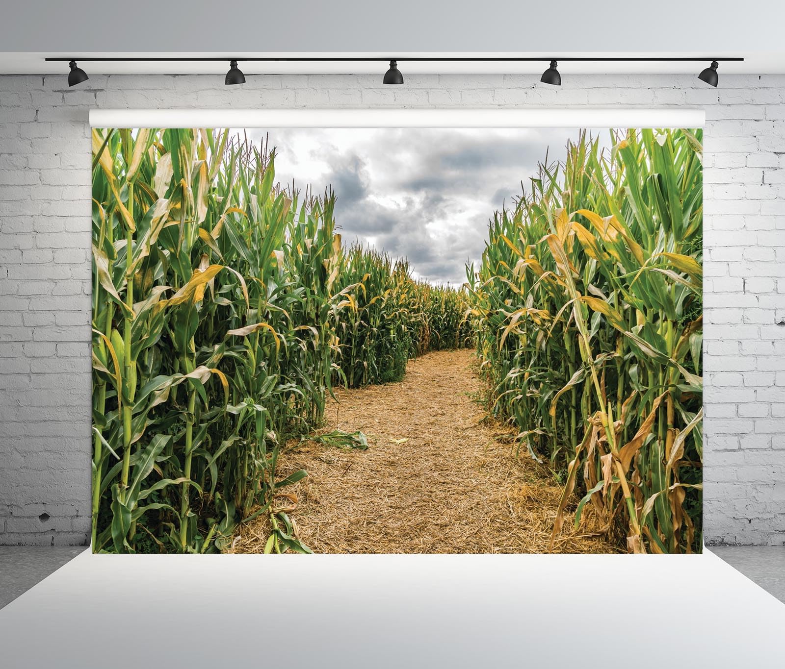 Amazon.com : BELECO 7x5ft Fabric Cornfield Backdrop Green Corn Field ...