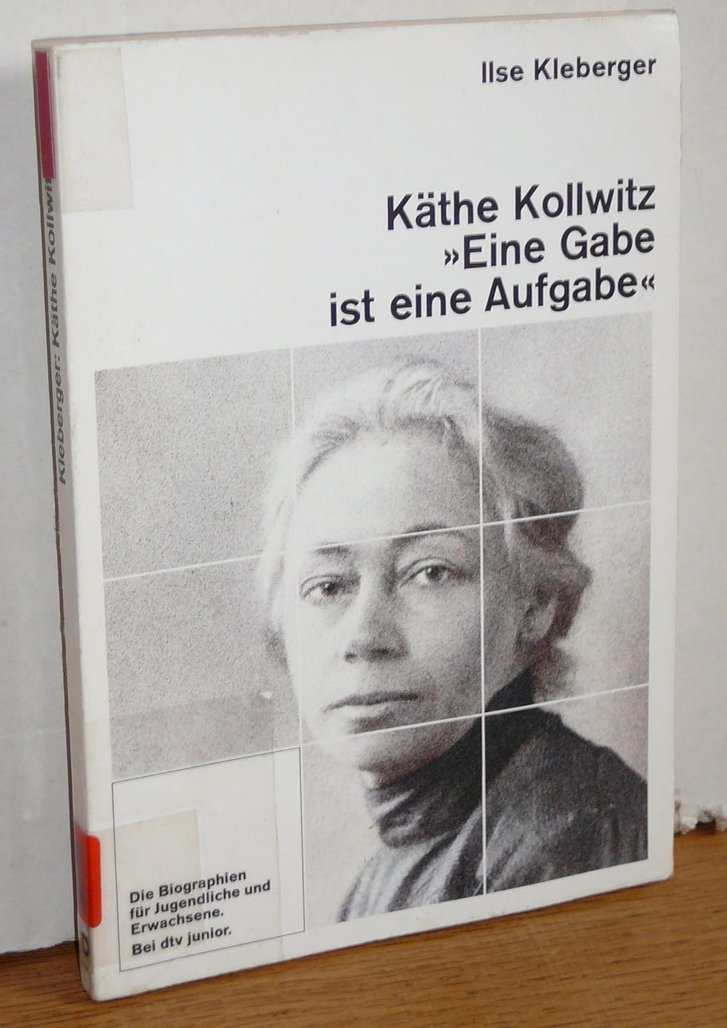Käthe Kollwitz: "Eine Gabe ist eine Aufgabe" – Mit 66 Abbildungen (dtv ...