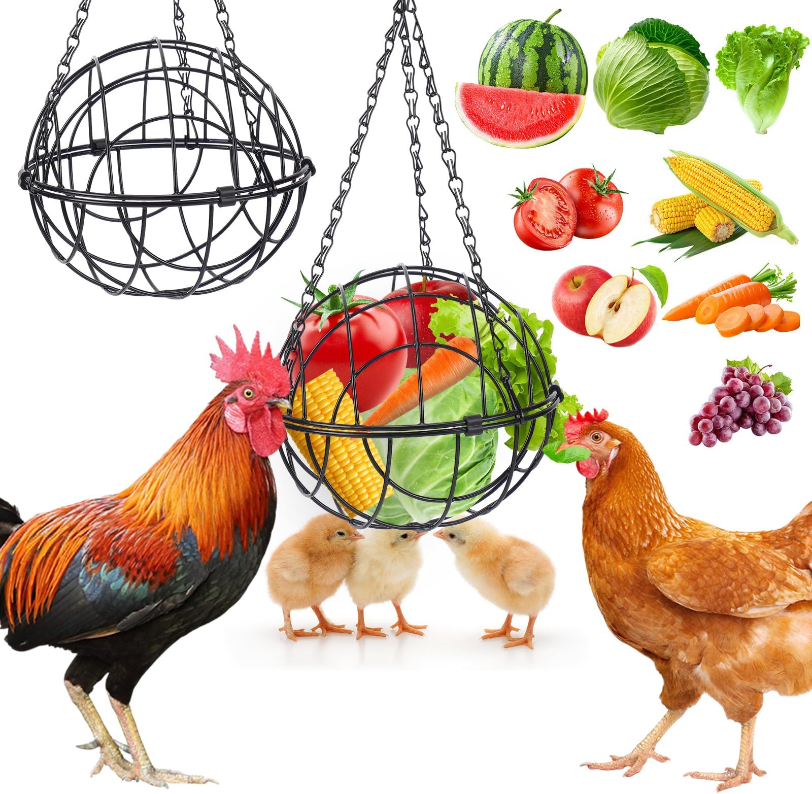 Amazon.com : Biggun 8 Inch Large Hanging Chicken Feeder - 2pcs Veggies ...