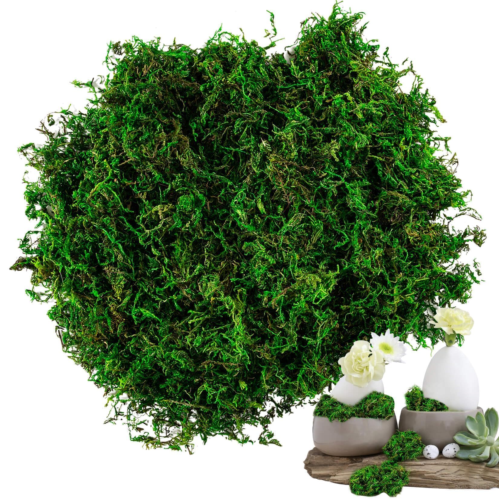 Amazon.com: Sukh Faux Moss for Potted Plants Artificial Moss for Crafts ...