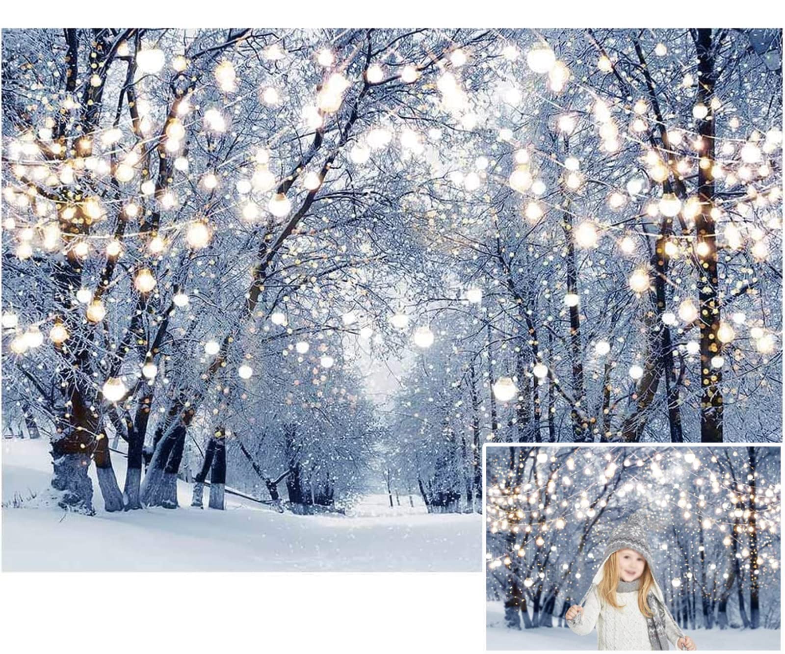 Winter Wonderland Background Images