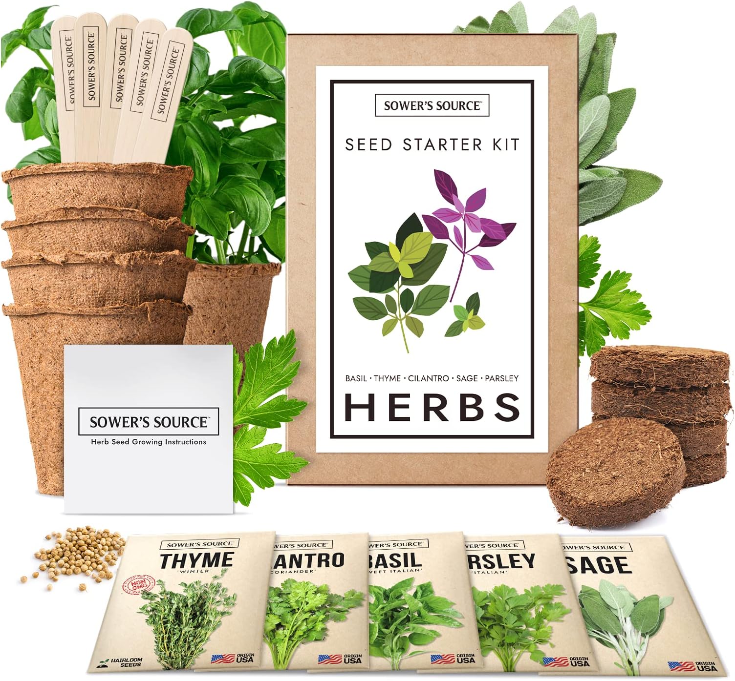 Amazon.com : Indoor Herb Garden Starter Kit - Kitchen Herb Garden ...