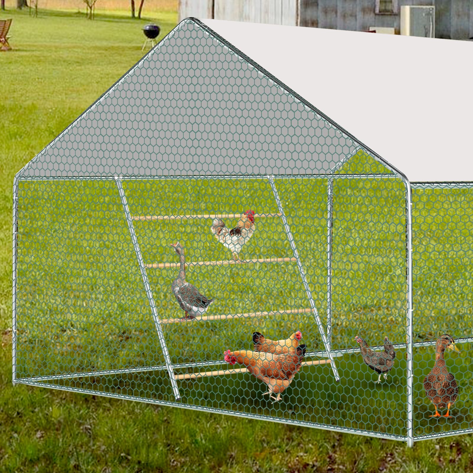 Large Chicken Coop Perch 55''Lx39''W, Sturdy Roosting Wooden Ladder for ...