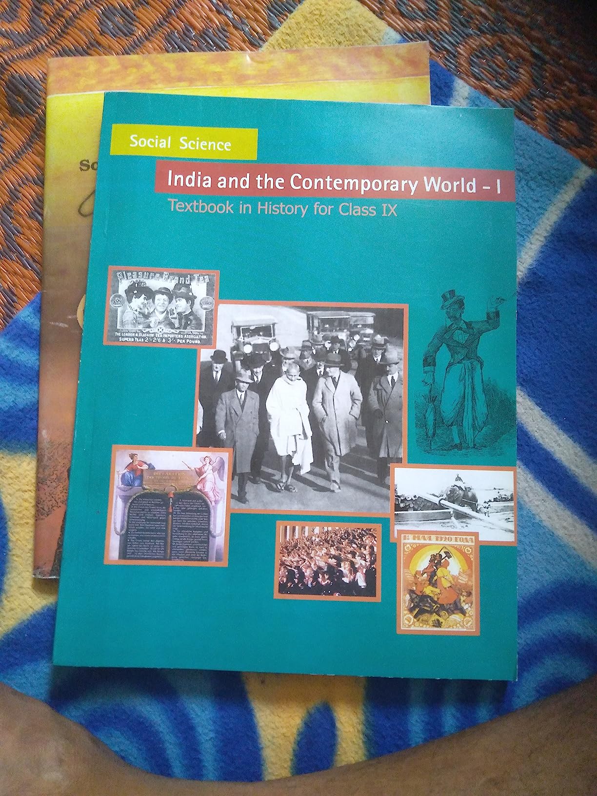 India & Comtemprary World - History For Class - 9 - 966 : NCERT: Amazon ...