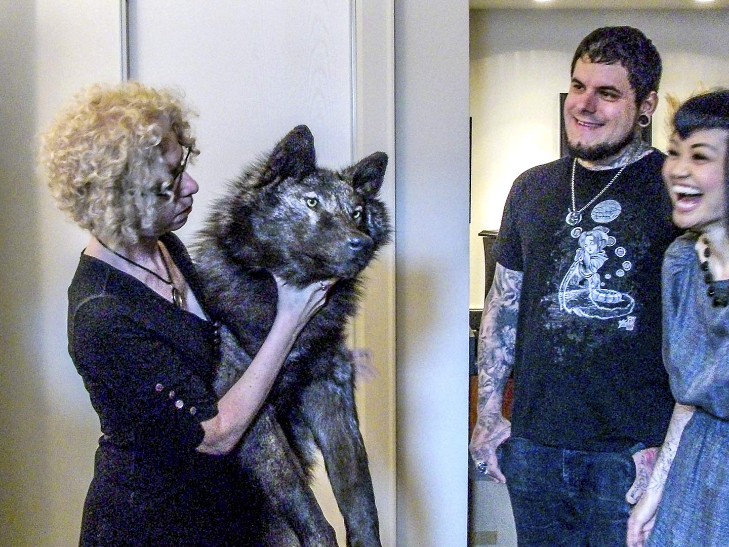 Watch Oddities - Season 5 | Prime Video