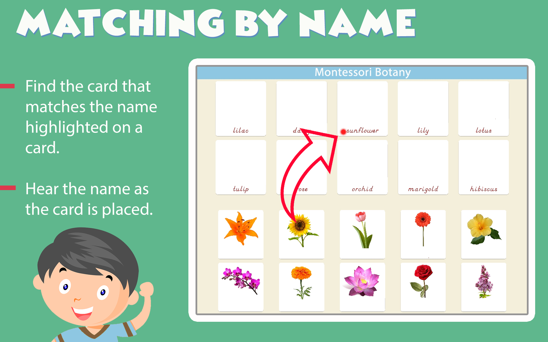 Montessori Botany - Parts of Plants - App on Amazon Appstore