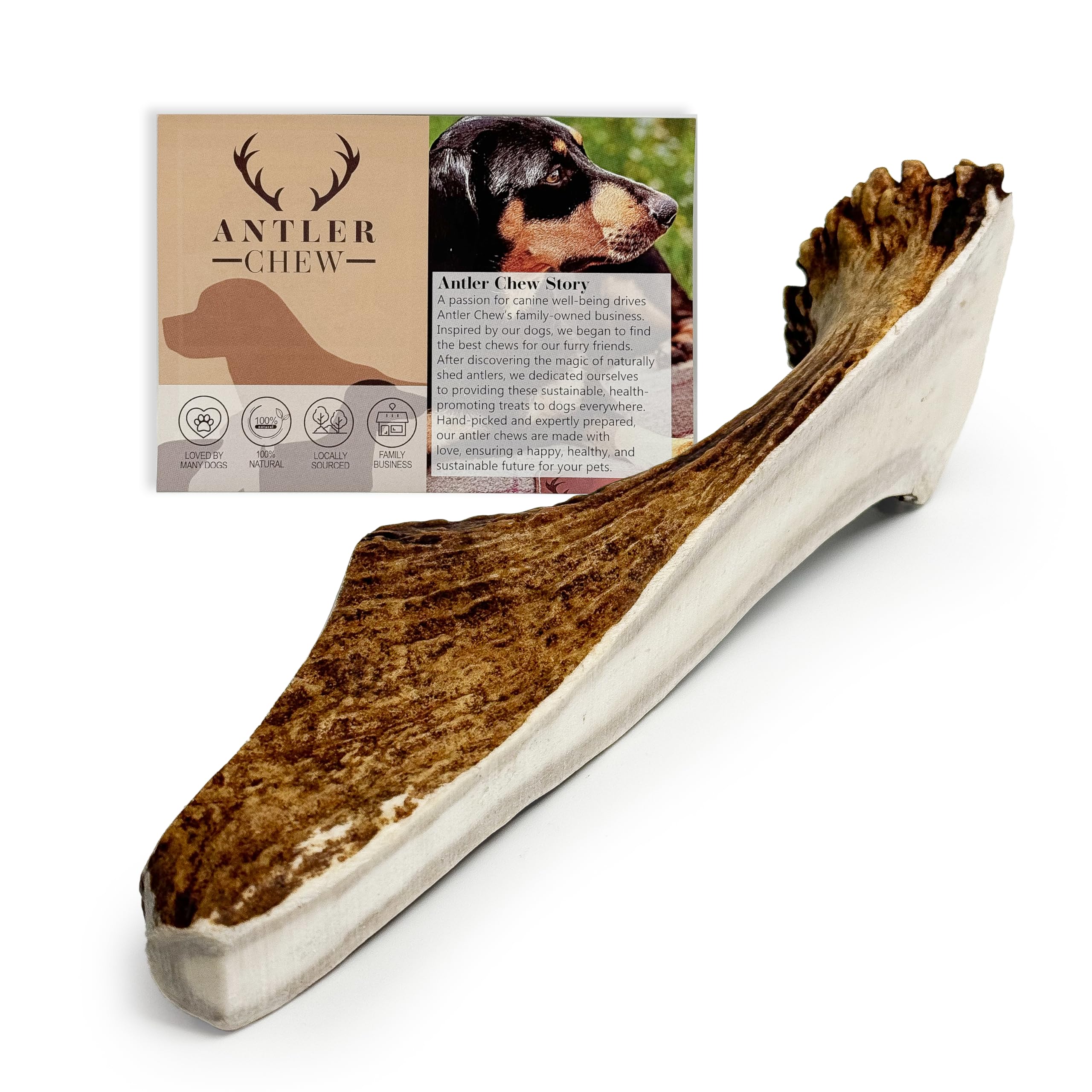 Antler Chew - XL Elk/Moose Split Antler for Dogs (180-240g, from 15cm ...