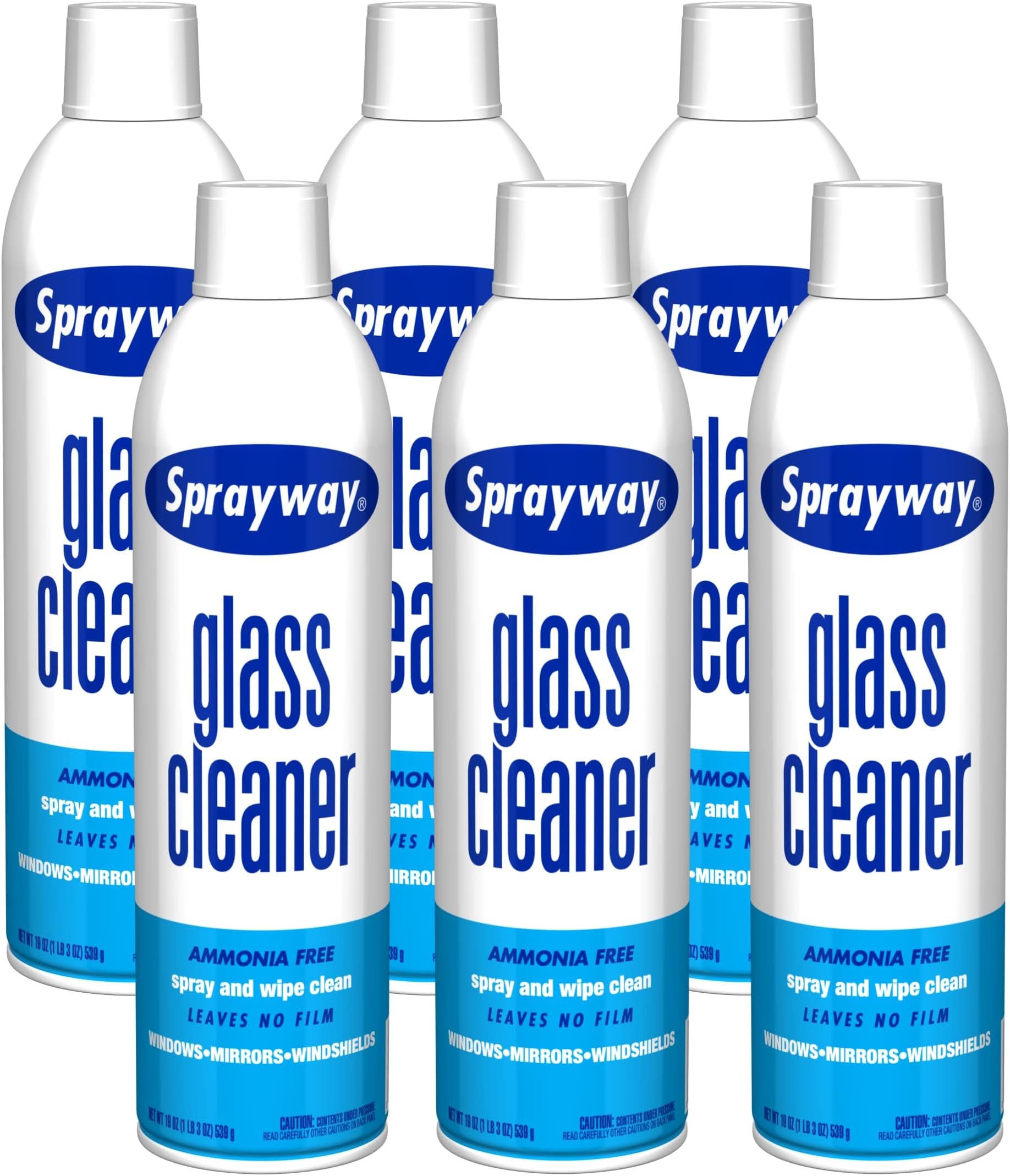 Amazon.com: Sprayway Glass Cleaner, SW-050 19 oz Cleaner for Auto and ...
