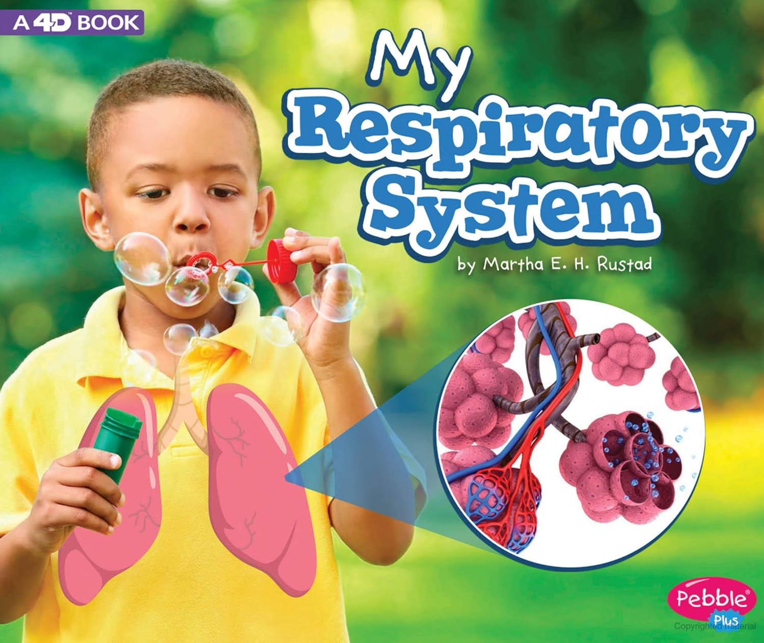 My Respiratory System: A 4D Book (My Body Systems) : Rustad, Martha E H ...
