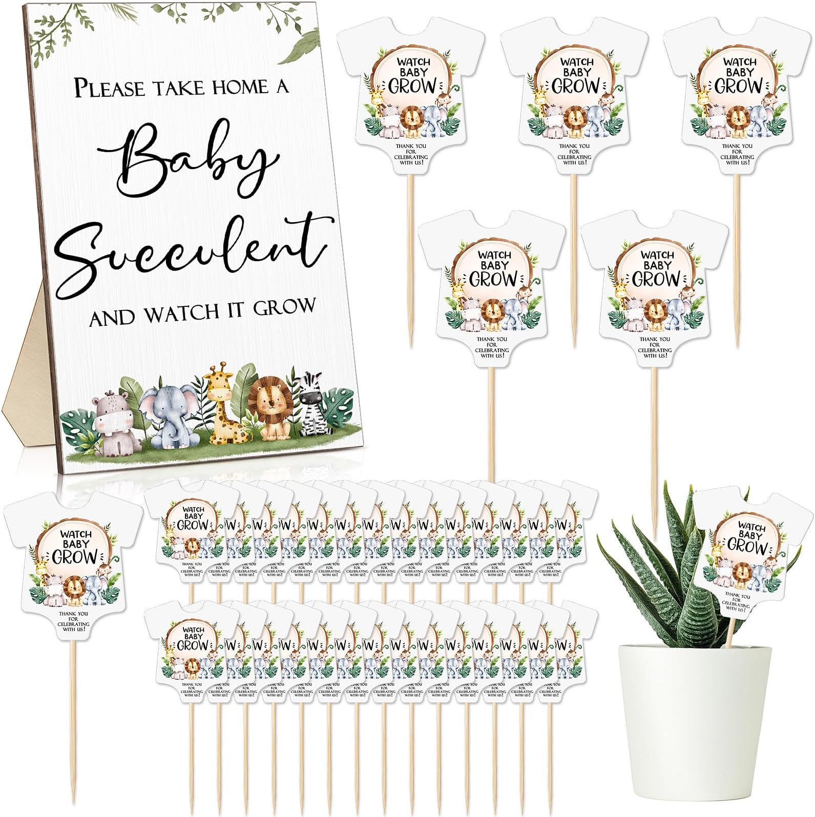 Amazon.com: 73 Pcs Succulent Baby Shower Favors, 24 Watch Me Grow ...