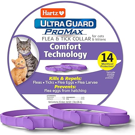 Amazon.com : Woyamay 4 Pack Flea Collar for Cats, Natural Cat Flea ...